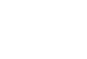 FSH GROUP – The George Sinovich Collection – A Prestigious Handful of ...